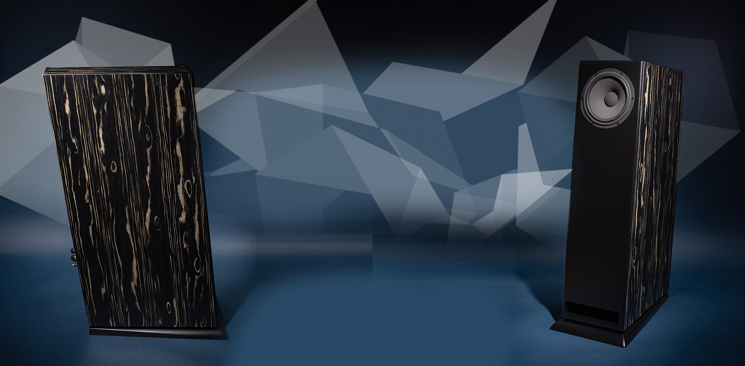 Homepage - Davis Acoustics - Haut-parleurs & Enceintes de qualités